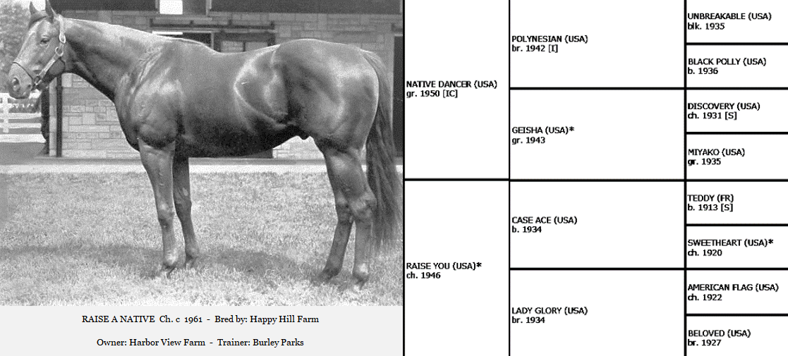 Raise a Native – horseracing20thcentury99.com